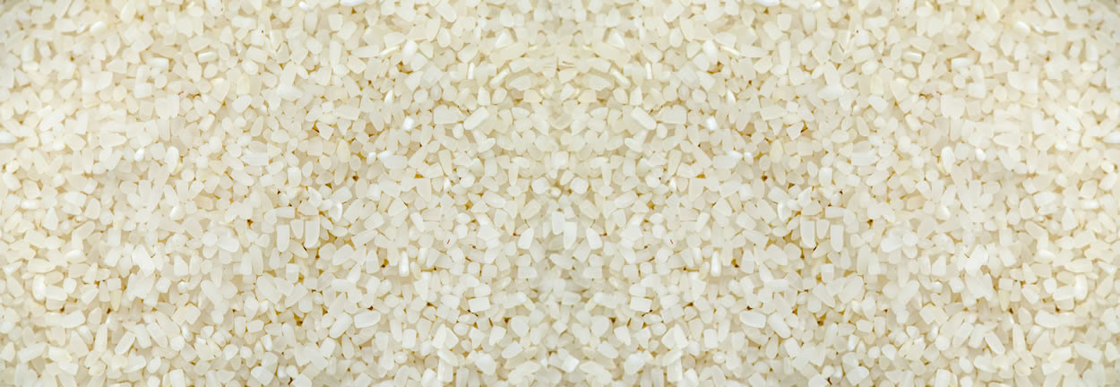 Broken Rice - Dacsa Group